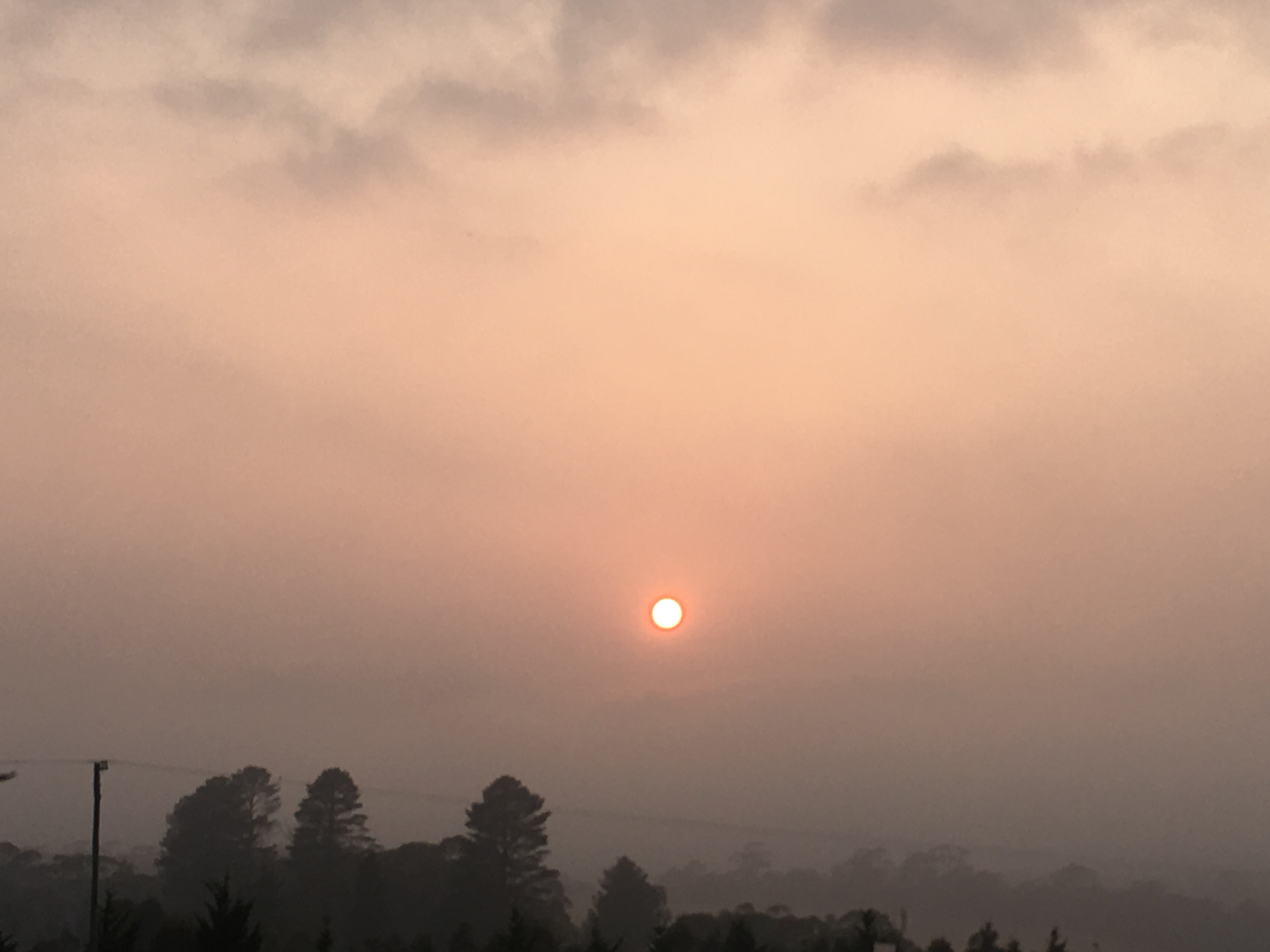 Gallery - Robin Tennant Wood